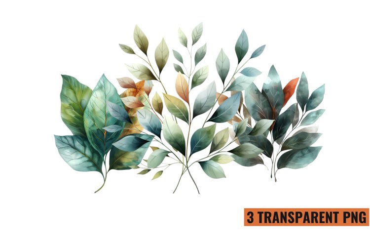 Botanical Watercolor Clipart,