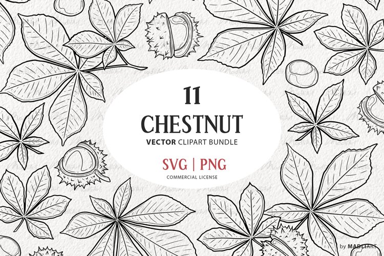 11 Chestnut Tree Leaves Vector Clipart. Chest Nut Leaf SVG