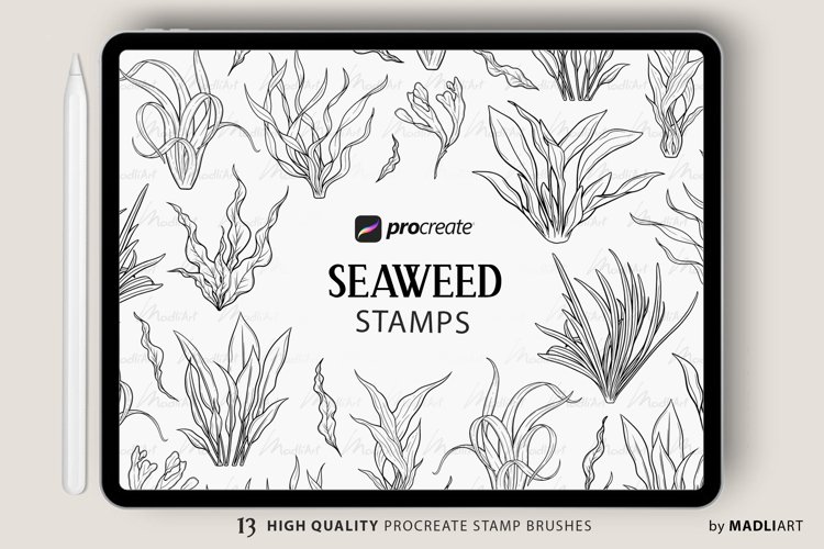 13 Seaweed Procreate Brush Stamps. Ocean Water Plant Tattoo