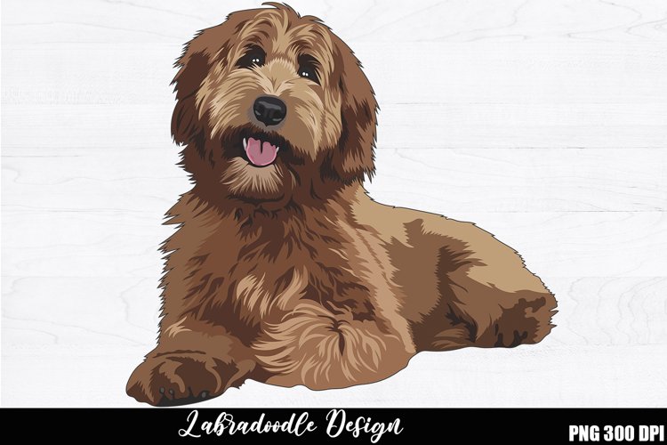 Labradoodle PNG Sublimation