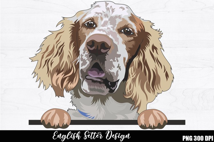 English Setter PNG Sublimation