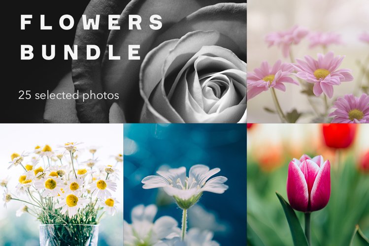Flowers Bundle (484211)