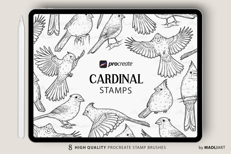 8 Cardinals Procreate Brush Stamps. Small Birds Outline Set