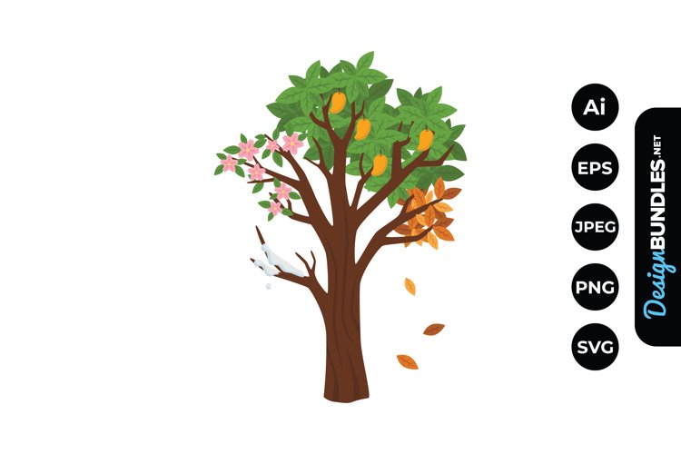 Seasons Tree Illustrations