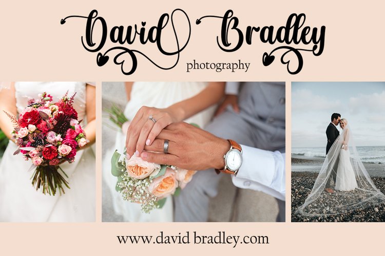 Font Bundles | The Best Free and Premium Font Bundles