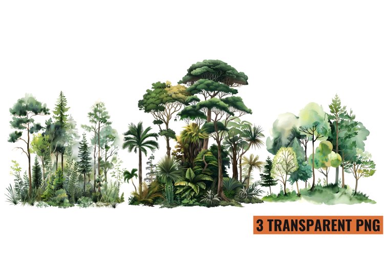 Watercolor Forest Tree Clipart , PNG