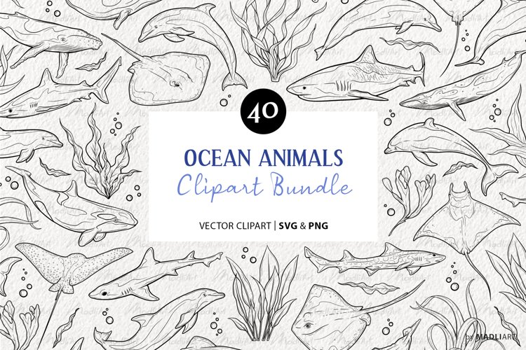 40 Ocean Animals Vector Clipart. Whale, Shark, Dolphin, Ray