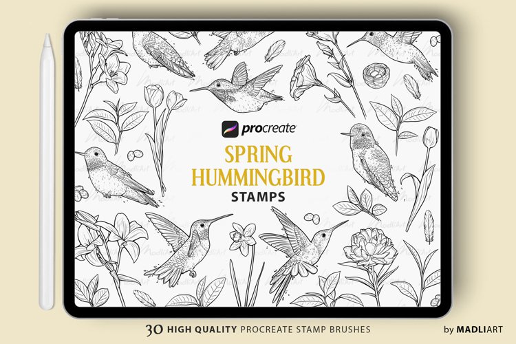 30 Hummingbird Procreate Brush Stamps. Spring Flower Tattoo