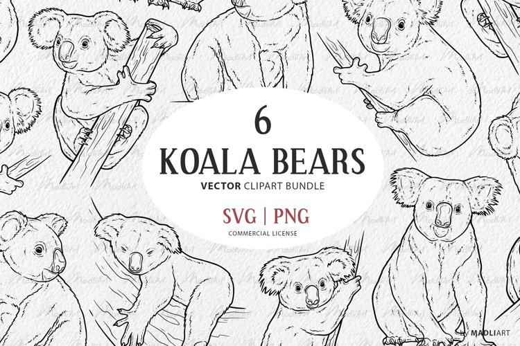 Koala Bear Clipart | Design Bundles