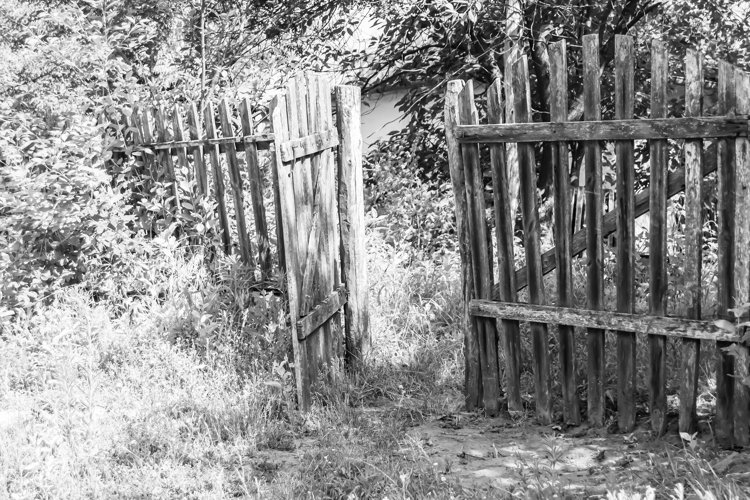 Old gate from abandoned house in village natural background