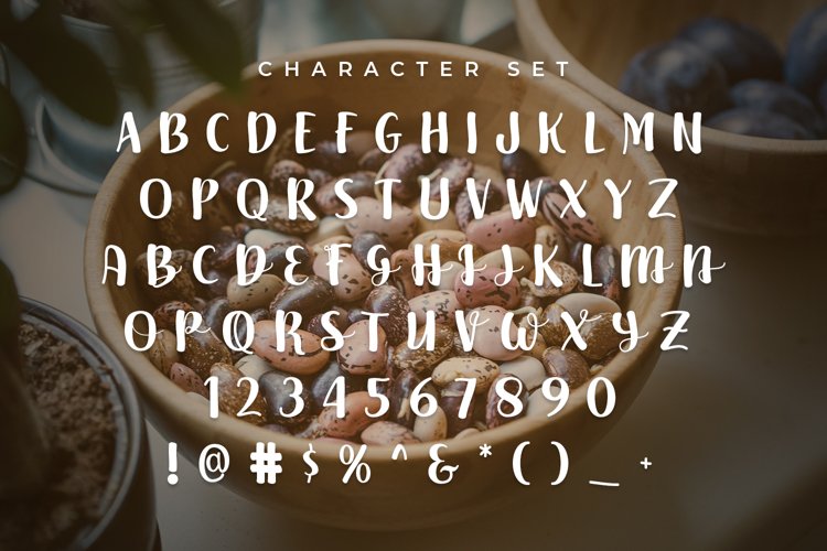 Beans - Free Font of The Week | Font Bundles