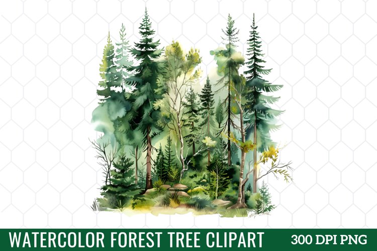 Watercolor Forest Tree Clipart (3460723)