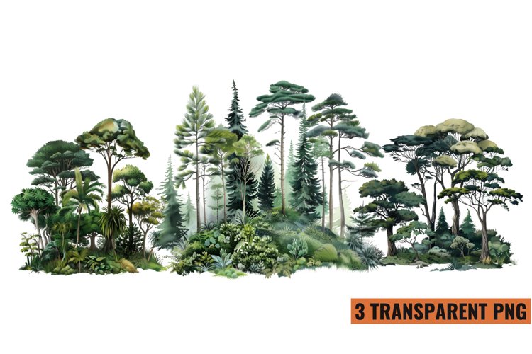 Watercolor Forest Tree Clipart , PNG