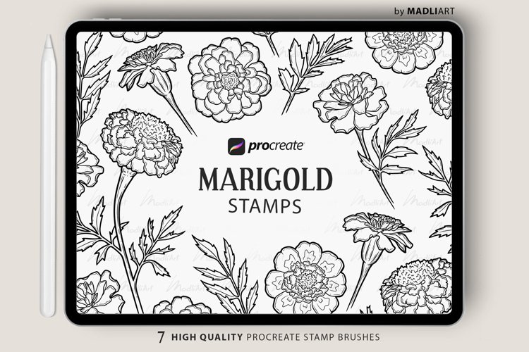 7 Marigold Procreate Brush Stamps. Spring Flower Line Blosso