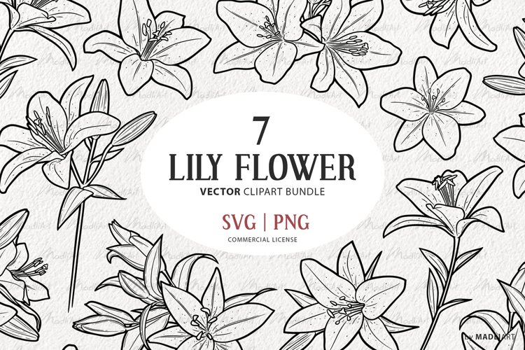 7 Lily Flower Vector Clipart. Spring Floral Blossom SVG Art