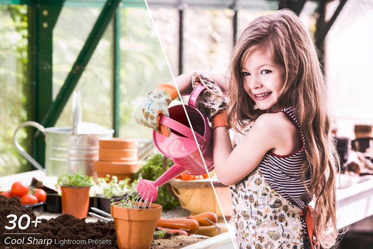30 Cool Sharp Lightroom Presets (160946)