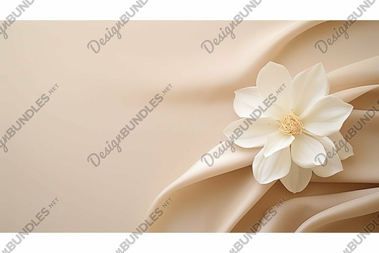 neutral smooth biege background (4101161)