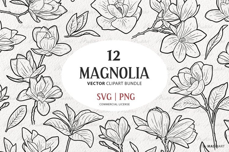 12 Magnolia Vector Clipart. Spring Flower Tree Blossom SVG