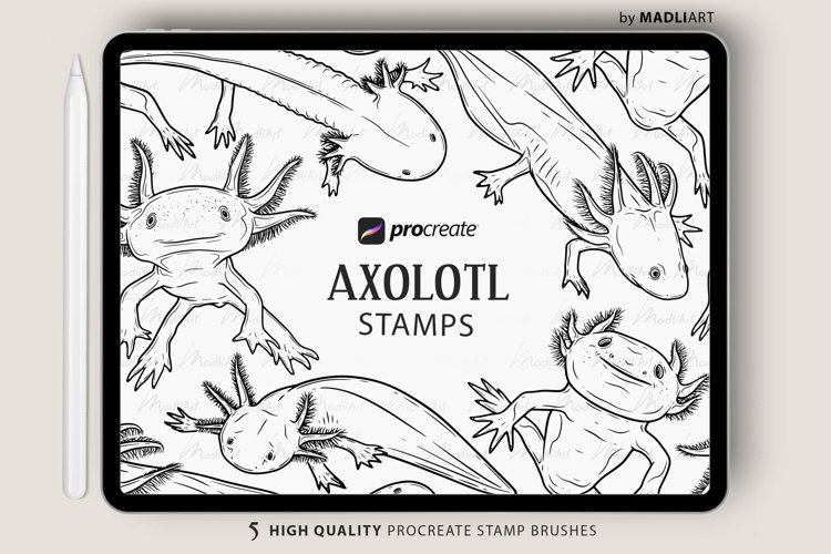 5 Axolotl Procreate Brush Stamps. Salamander Reptile Tattoo