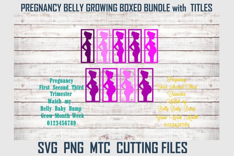 Pregnant Belly Boxed with Sayings SVG Cut File Bundle