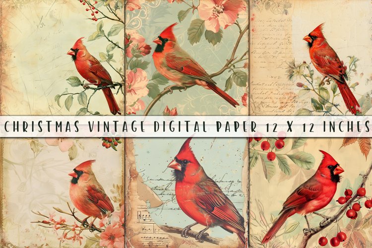 Vintage Cardinal Junk Journal Scrapbook Paper