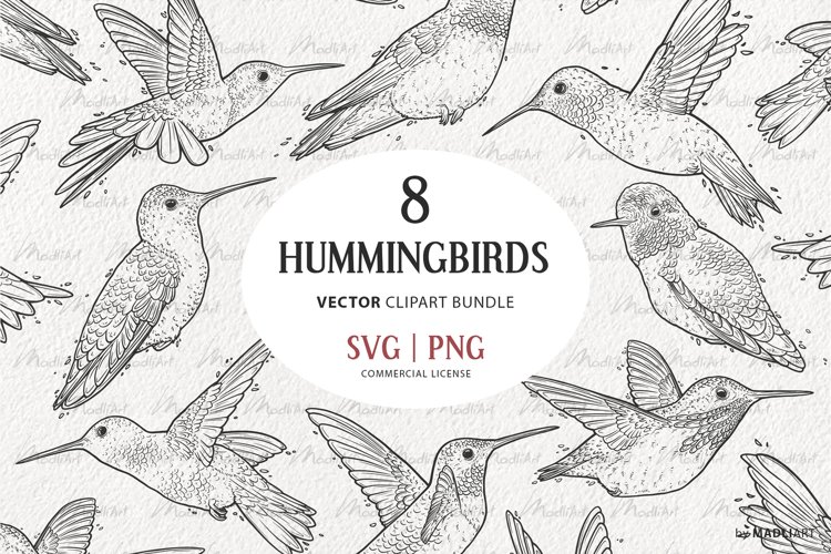 8 Hummingbirds Vector Clipart. SVG Small Birds Outline