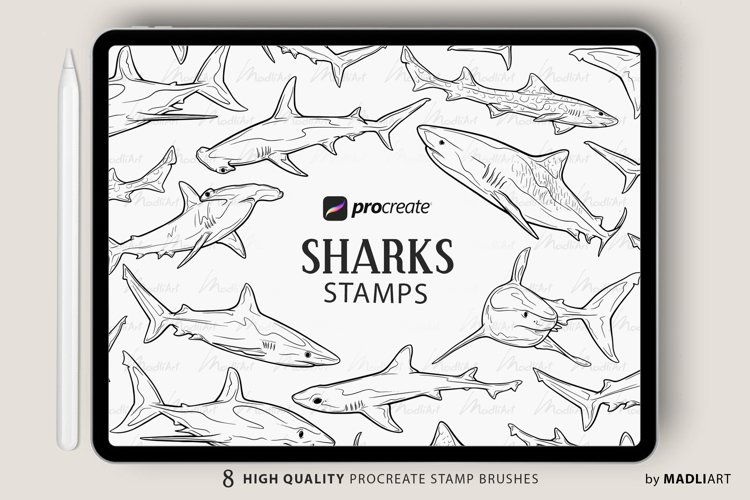 8 Shark Procreate Brush Stamps. Hammerhead Great White Shark