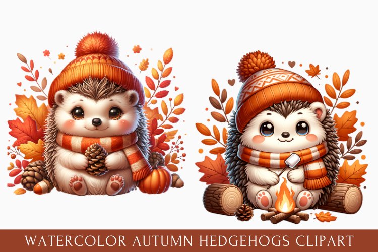 watercolor autumn hedgehog clipart, autumn hedgehog Clipart
