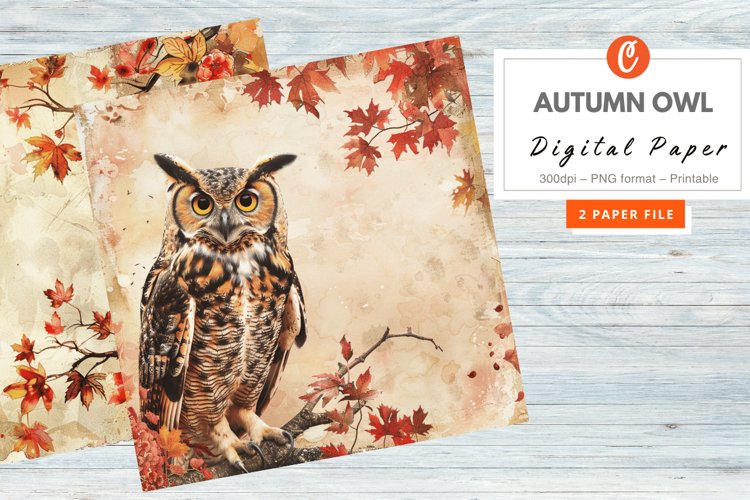 Autumn owl digital paper