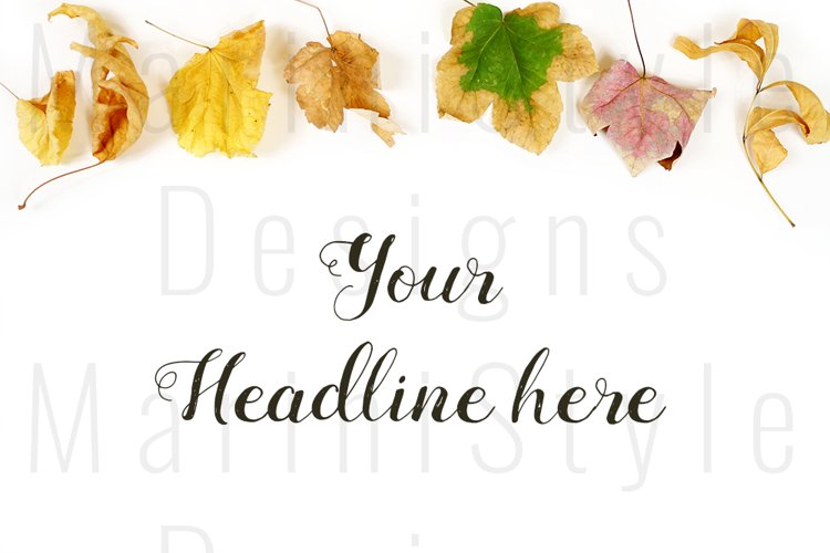 Autumn Styled Stock Photo Mockup, Fall Flatlay, (208007)