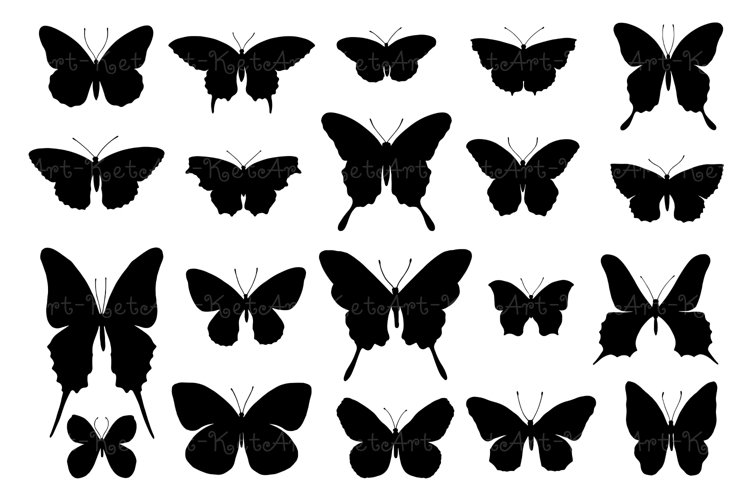 Set of silhouettes of various butterflies.