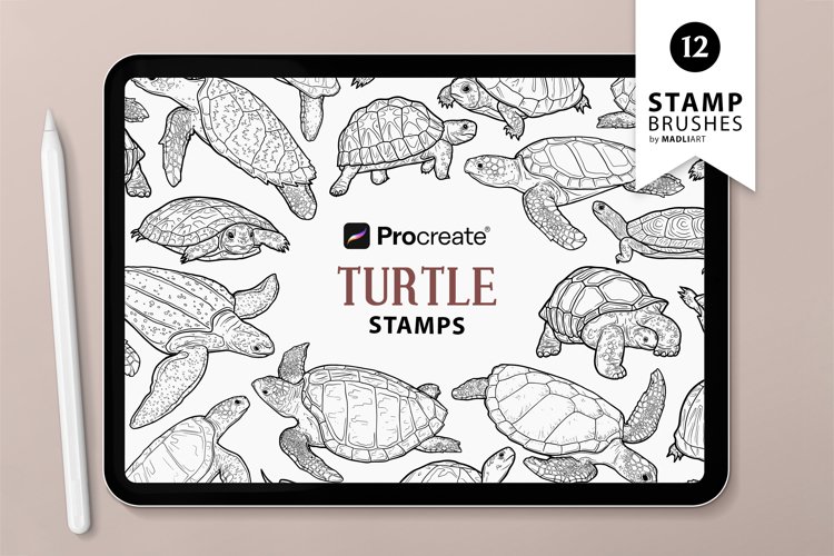 6 Sea Turtles Procreate Brush Stamps. Ocean Turtle (2777628)