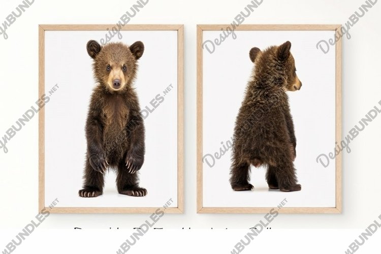Baby Bear Nursery Baby Animal Wall Art, Set of 2