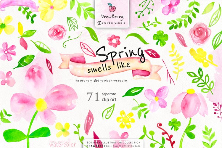 Hand Painted Watercolor Spring Flowers |Drawberry CP033
