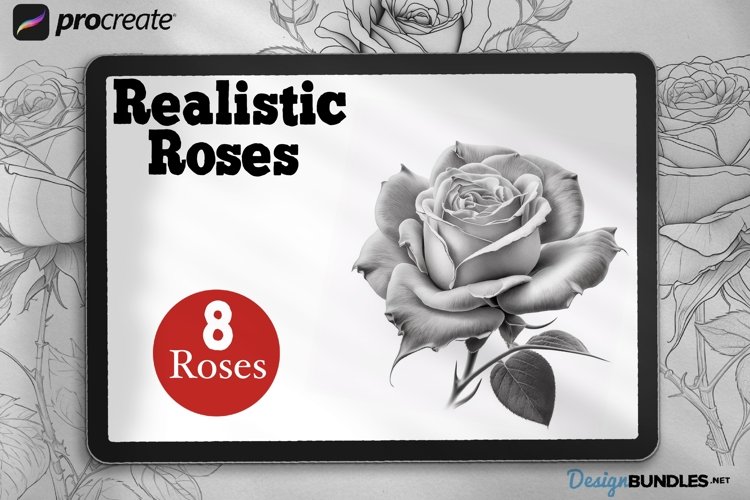 Procreate / Realistic roses