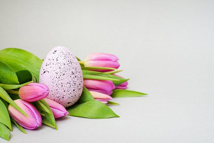 Easter greeting card, pink tulips with speckled egg