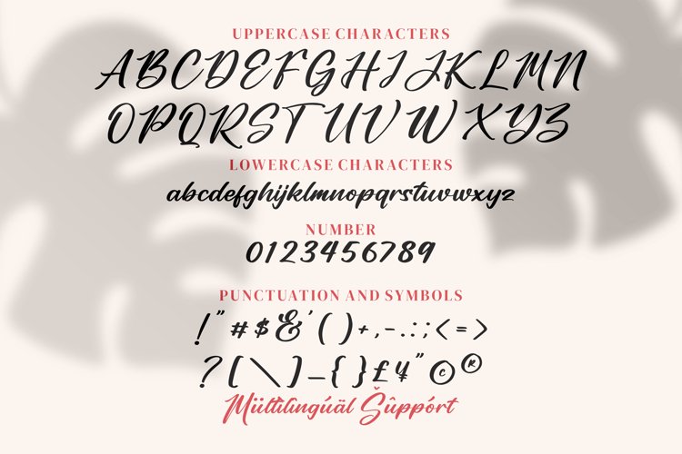 Betanty - Modern Script Font - Free Font Of The Week | Font Bundles