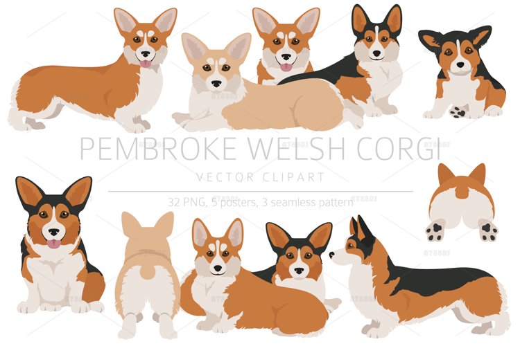 Pembroke Welsh Corgi clipart (1349336) | Illustrations | Design Bundles