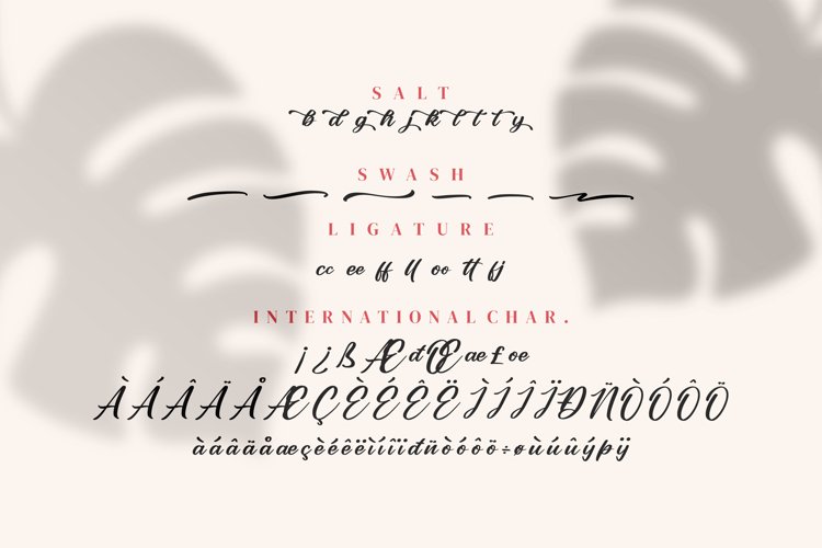 Betanty - Modern Script Font - Free Font Of The Week | Font Bundles