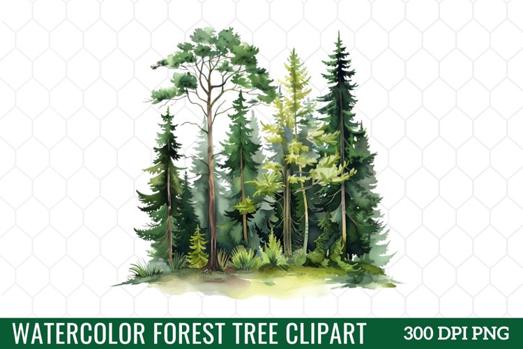 Watercolor Forest Tree Clipart (3460729)