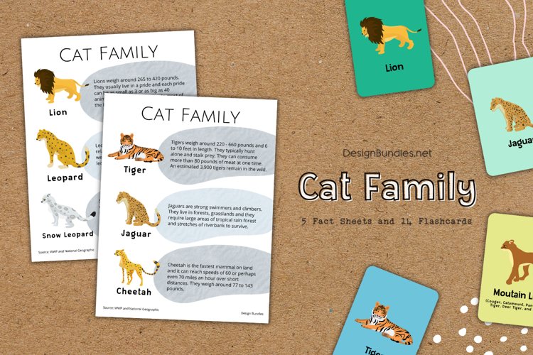 Cat Family Educational Factsheets and Flashcards Bundle