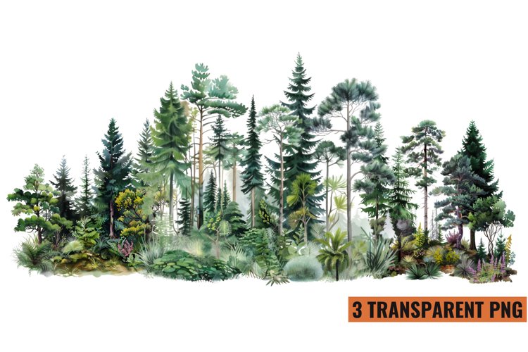 Watercolor Forest Tree Clipart , PNG