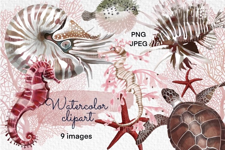 Watercolor Underwater Animals clipart set (1556346) | Clipart | Design ...