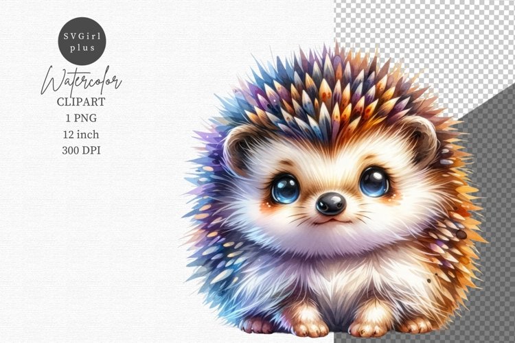 Hedgehog clipart, Watercolor clipart, Animals (3223500)