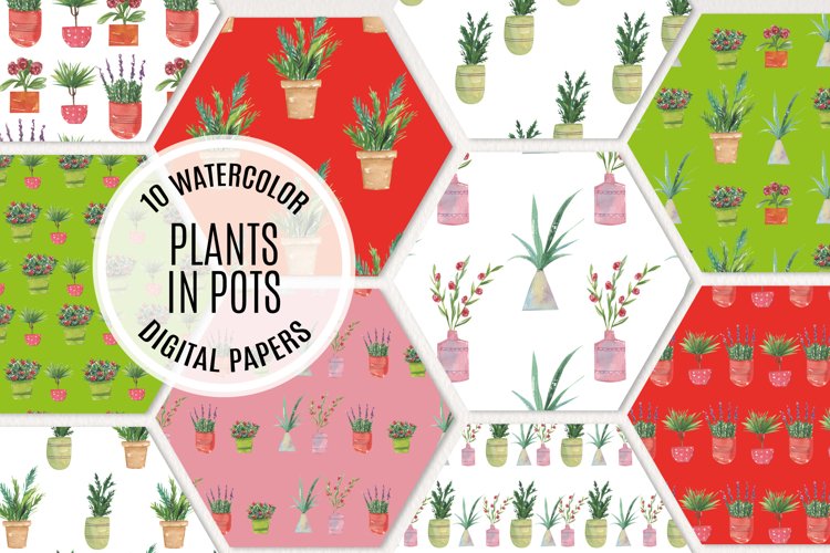 Plants In Pots Watercolor Seamless Patterns Pretty Planters