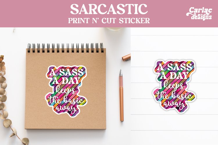 Funny Stickers, Sarcastic Stickers, A Sass a Day