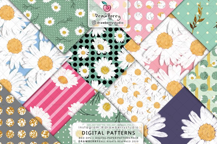 Daisy Flowers Pattern Seamless DP052
