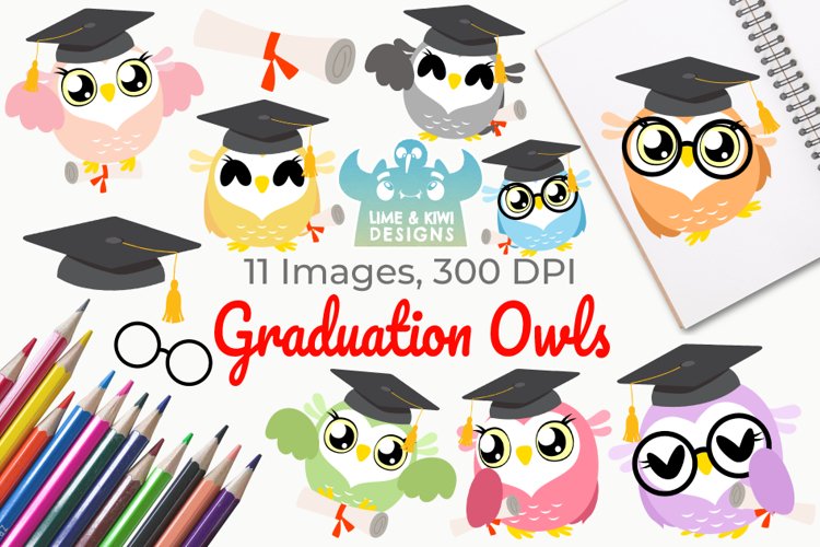 Pink Owl Clip Art Graduation