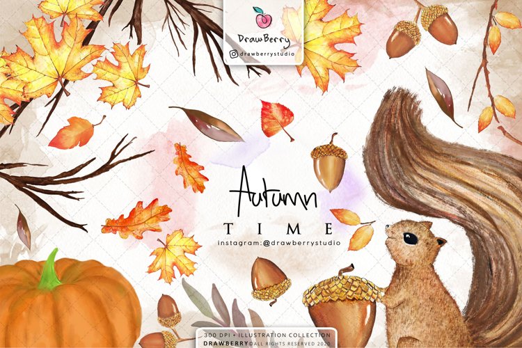 Watercolor Fall Autumn Cliparts Hand Painted DrawBerry CP008