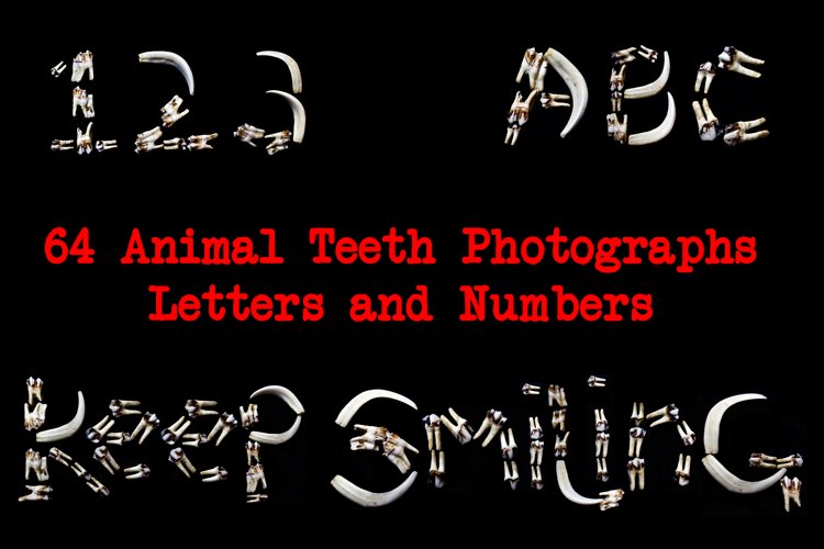 Animal Teeth Horror Font Letters Alphabet Collection